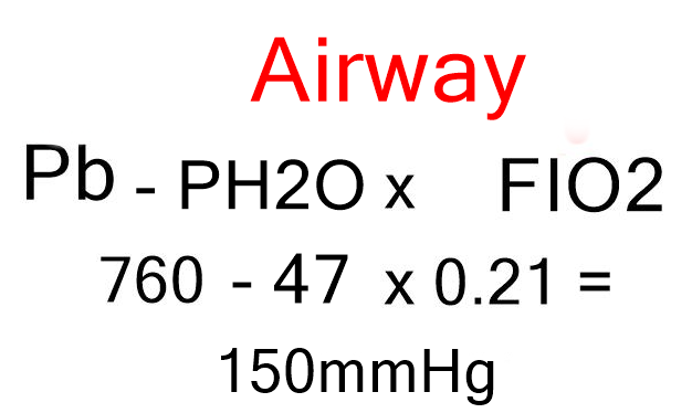 Mechanical Ventilation Series- A-a gradient. - Critical Care Practitioner