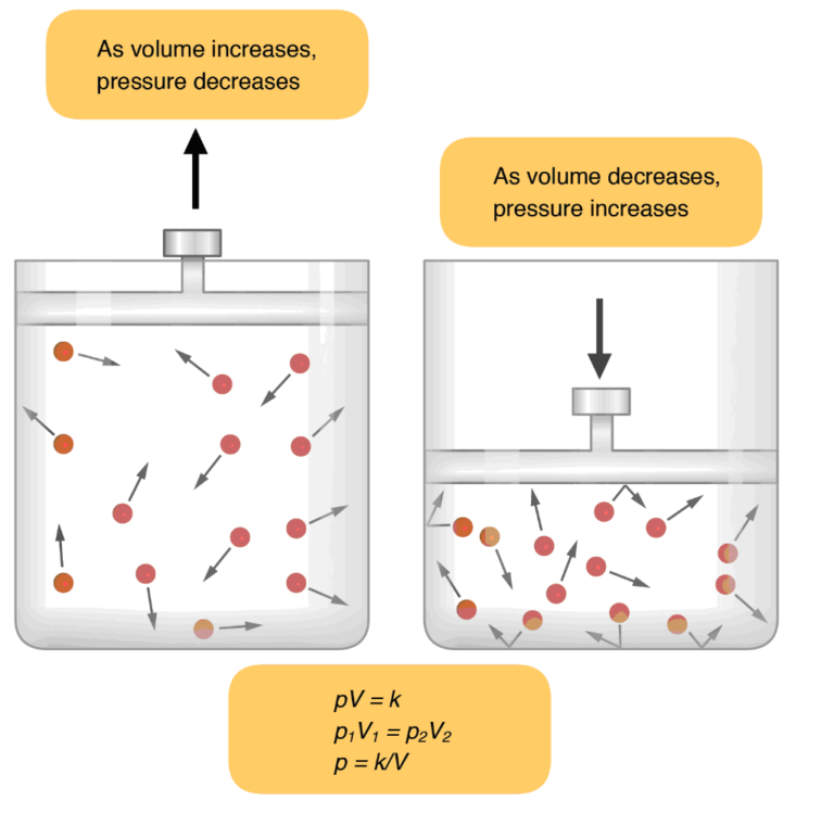Respiratory System - Physiology